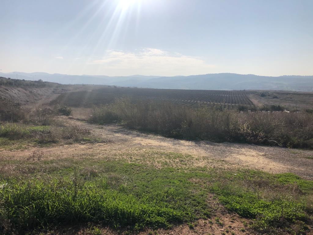 Agricultural land in Israel can be a speculative investment