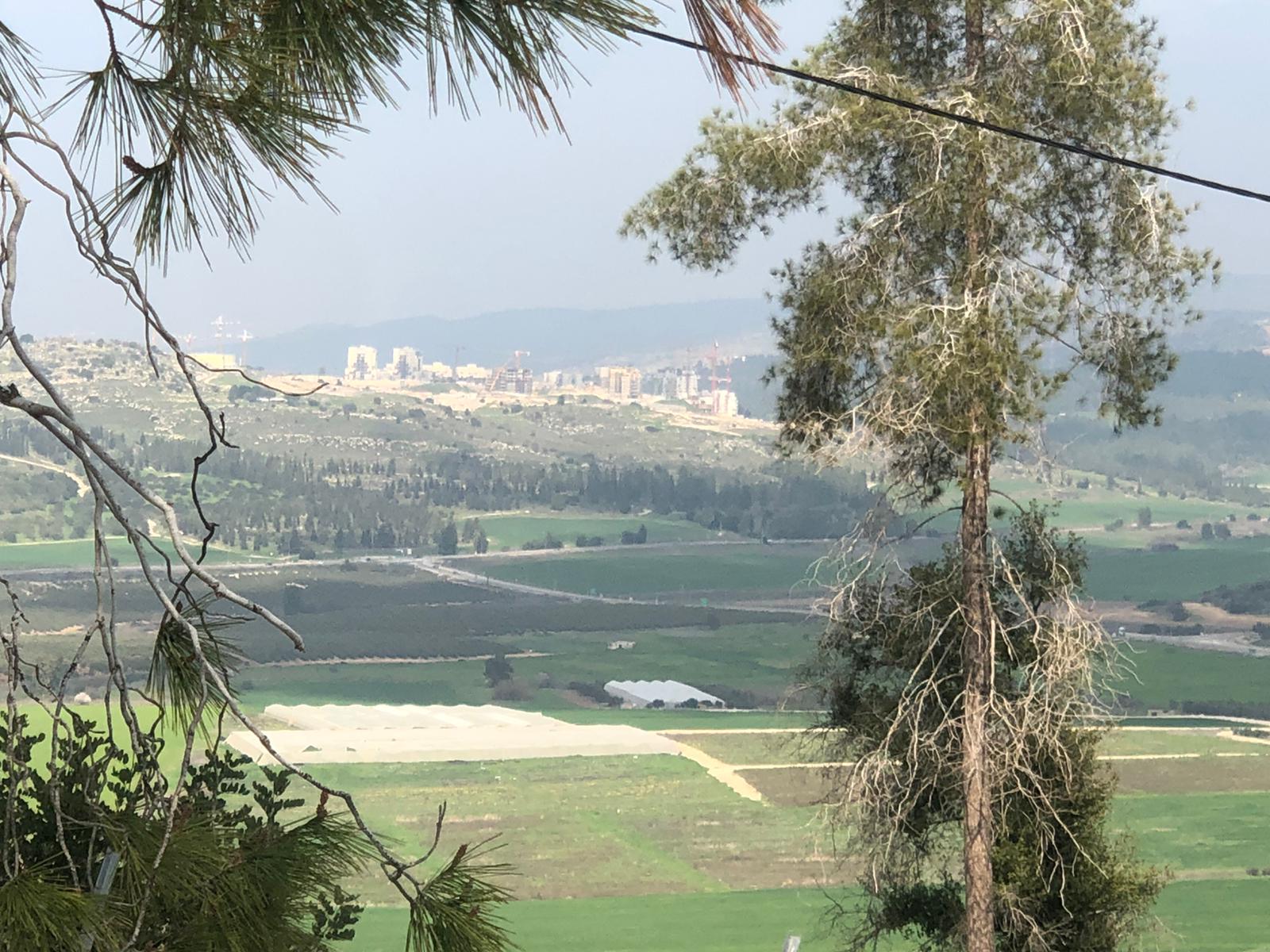 Passover Special: The Four Questions on the Israeli Real Estate Market