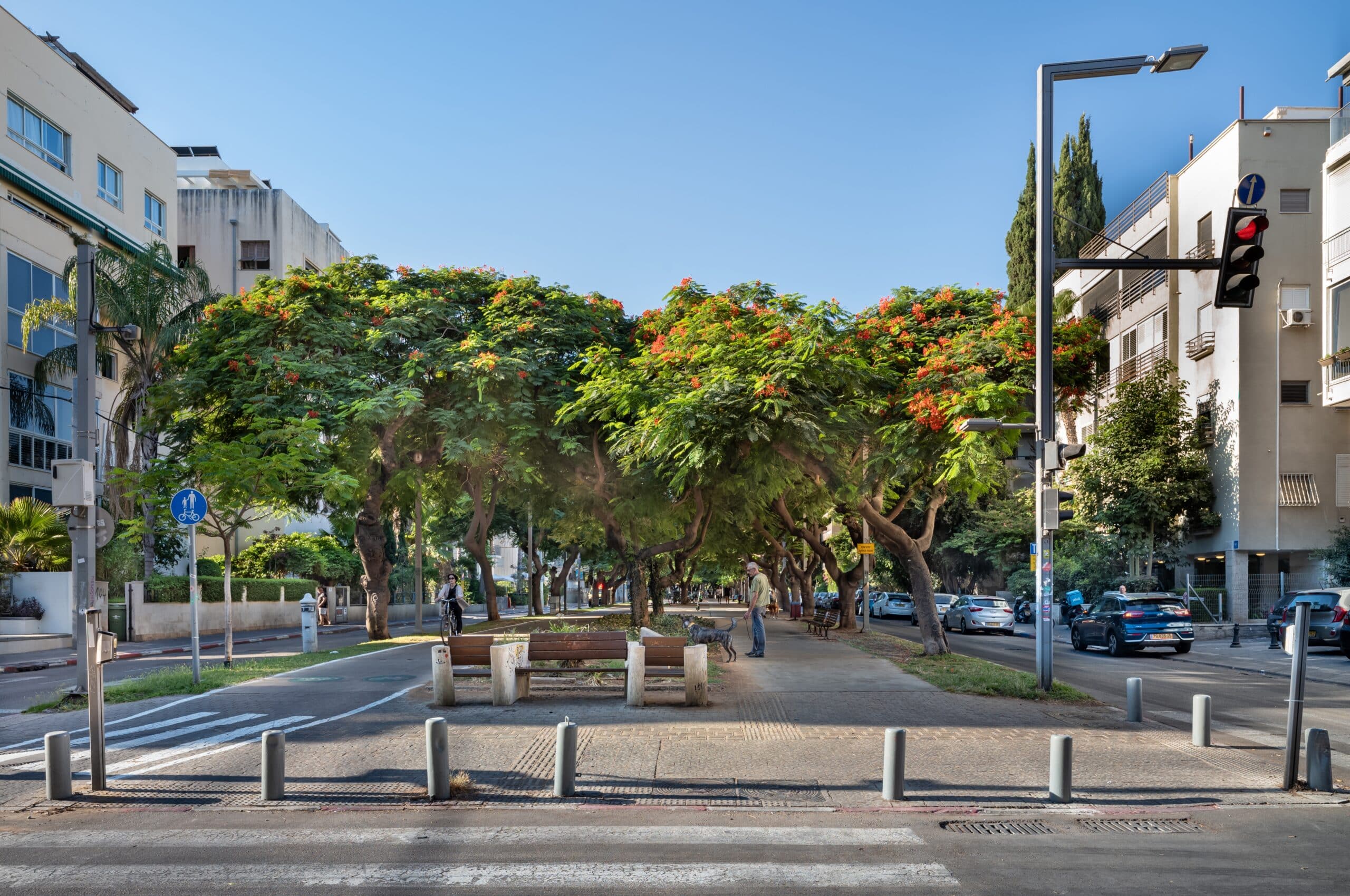 2024 Ultra-Luxury Real Estate: Fewer Sales, Lower Prices, But Some ...